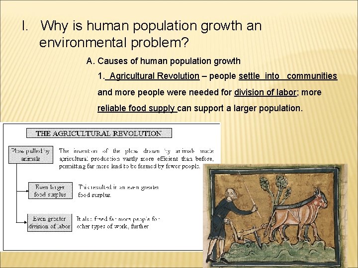Module 16 HUMAN IMPACT ON THE ENVIRONMENT Population