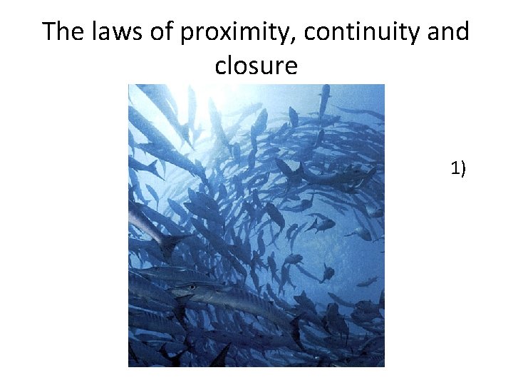 GCSE Psychology Gestalt Laws Learning objectives To learn