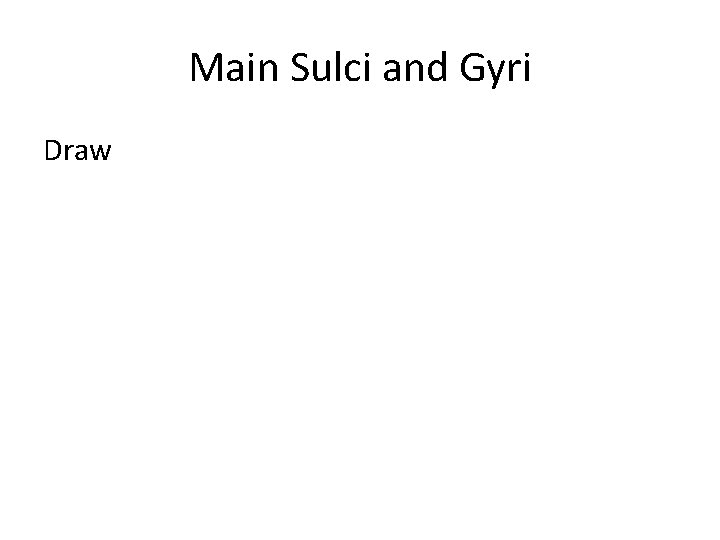 Parts of the Brain Dr Ajith Sominanda Department