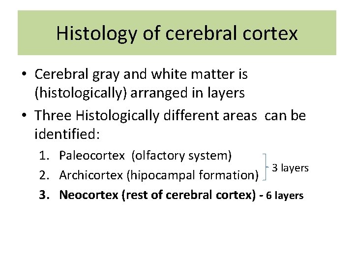 Parts of the Brain Dr Ajith Sominanda Department