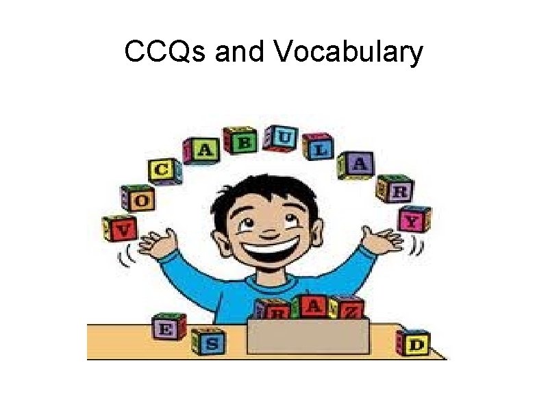 Comprehension Checking Questions Presented by Michelle S Rossman