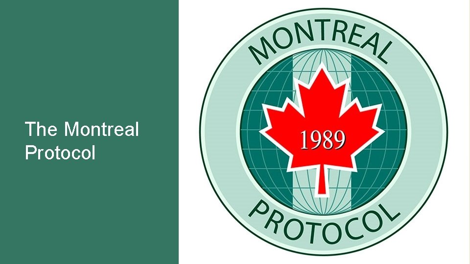The FSM and the Montreal Protocol Jeffrey Abraham