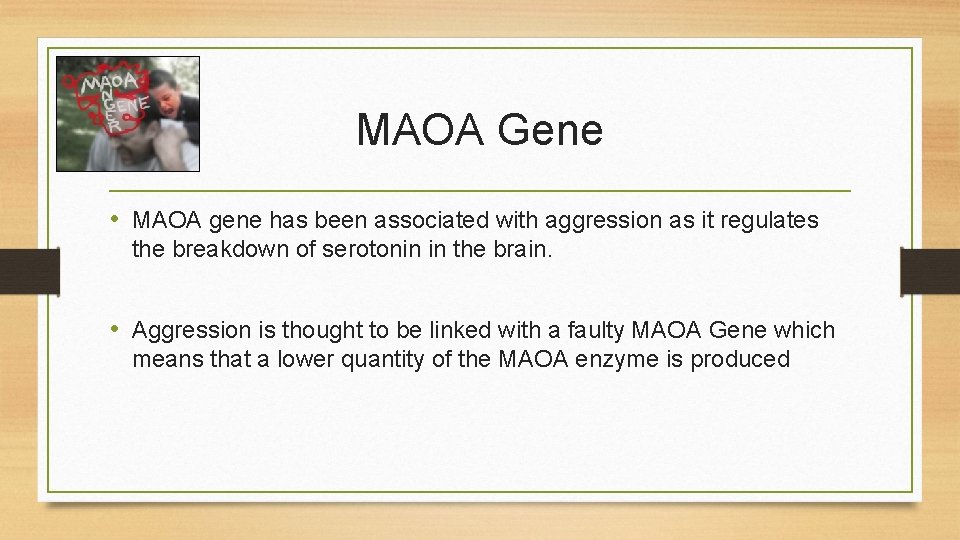 Aggression Genetic explanation Learning objectives To outline the