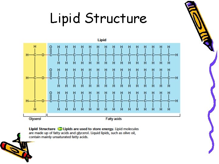 Chapter 6 The Chemistry of Life Georgia Standards