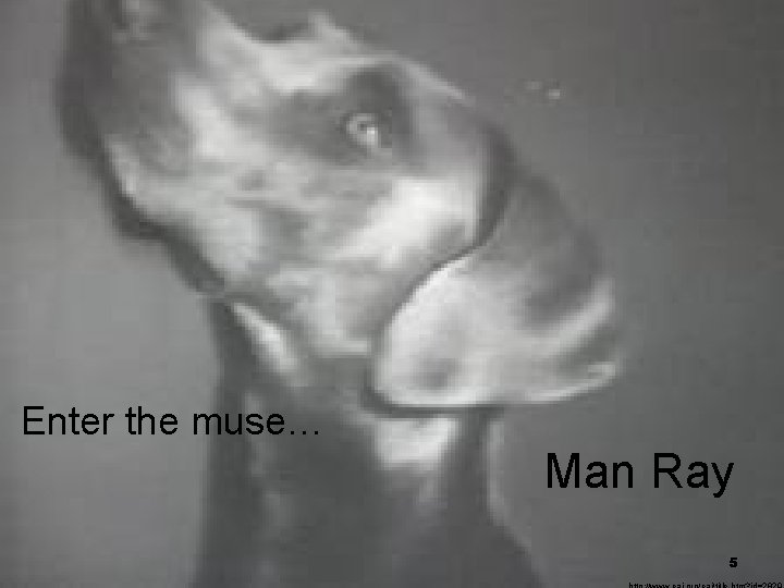 William Wegman Rebecca Longley Curriculum and Instruction Spring