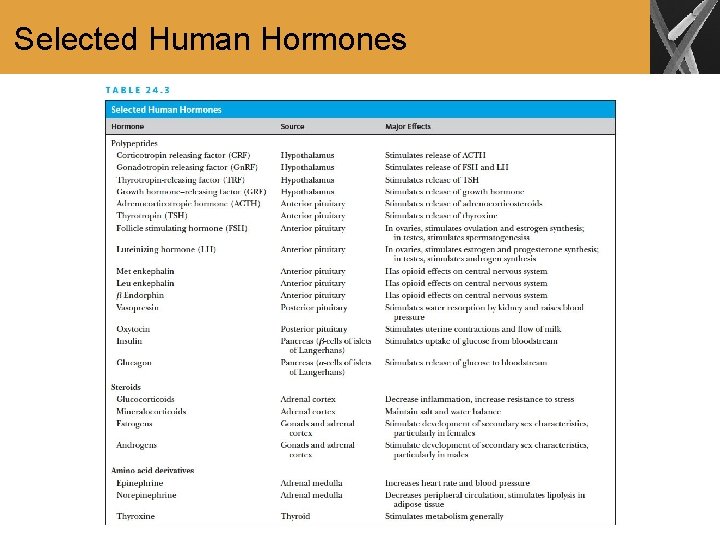 Chapter TwentyFour Integration of Metabolism Cellular Signaling Connections