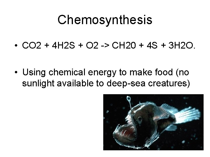 BIOLOGY Chapter 4 Cell Structure and Function The
