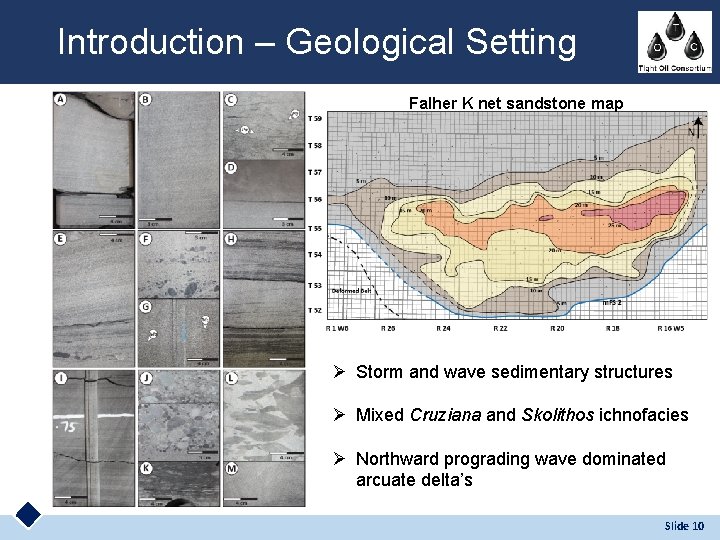 Sedimentology Sequence Stratigraphy and Reservoir Characterization of the