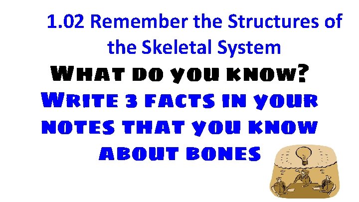 1 02 Remember the Structures of the Skeletal