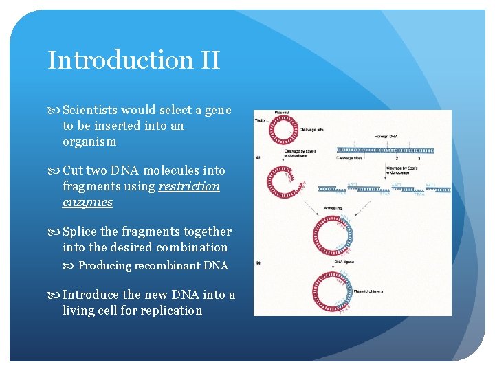 Biotechnology Packet 25 Chapter 9 Introduction Since the