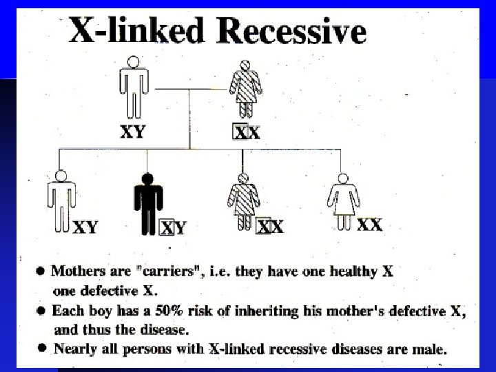 The Genetics of Ichthyosis Sherri J Bale Ph