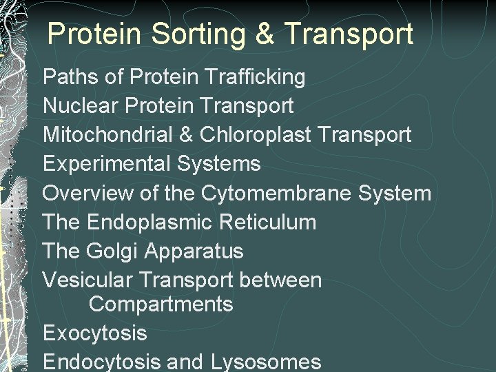 Protein Sorting Transport Paths of Protein Trafficking Nuclear
