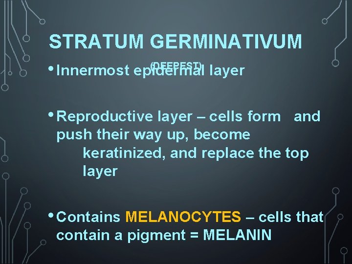 HEALTH SCIENCE I INTEGUMENTARY SYSTEM Skin Integument Cutaneous