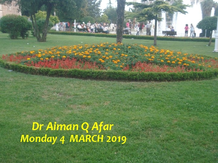 GASTROINTESTINEAL SYSTEM MOUTH PHARYNX Dr Aiman Q Afar