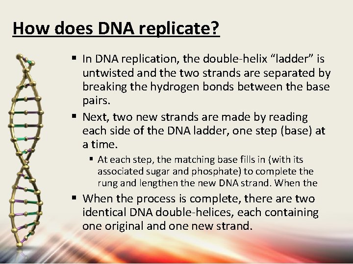 DNA Edited by Mr Cistaro 011313 What is