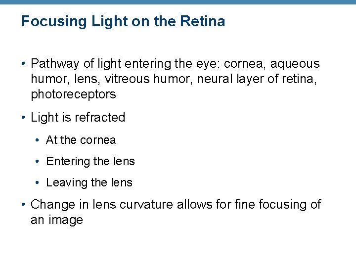 Light Our eyes respond to visible light a