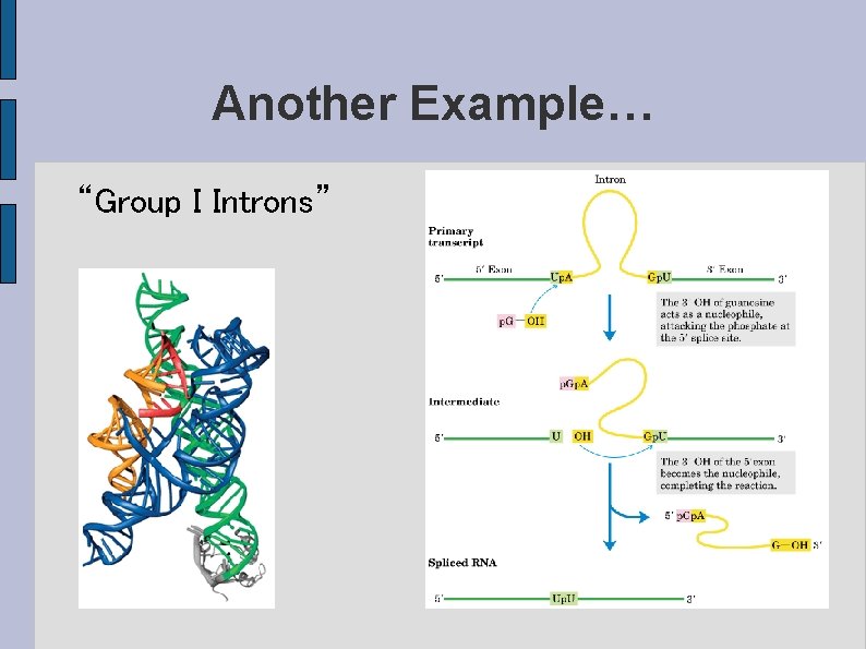 Algorithms for Structure and Motion in Biology CS