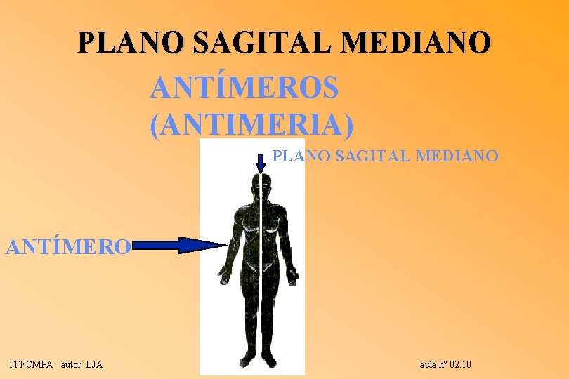 PLANOS DE CONSTRUO DO CORPO HUMANO FFFCMPA autor