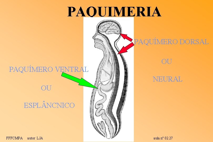 PLANOS DE CONSTRUO DO CORPO HUMANO FFFCMPA autor