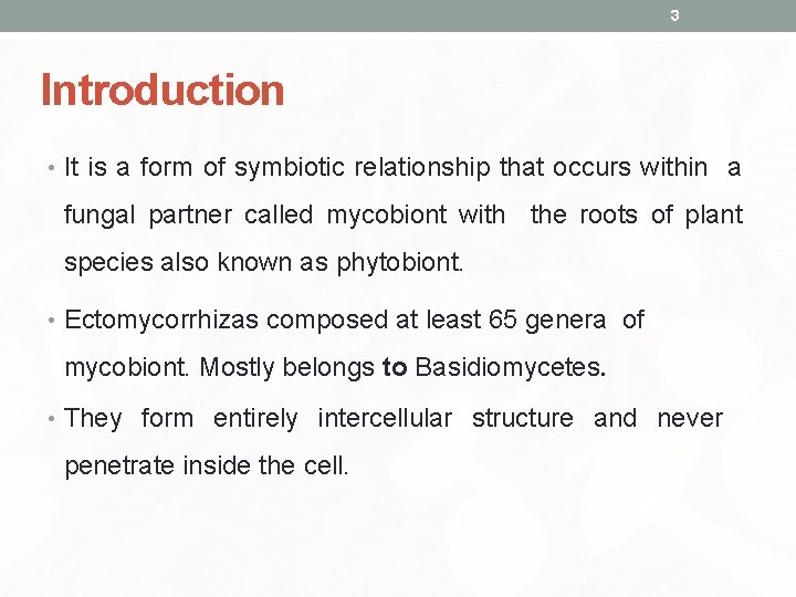 Subject Plant Fungal Interactions 1 ECTOMYCORRHIZAL FUNGAL COMMUNITIES
