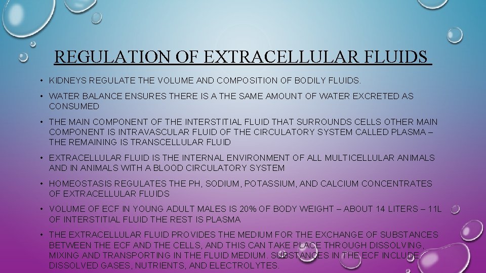 REGULATION OF EXTRACELLULAR FLUIDS BY REBECCA LOCKMILLER SAM