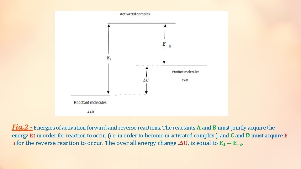 Molecular Kinetic Prof Sanaa Taher Arab By Maha