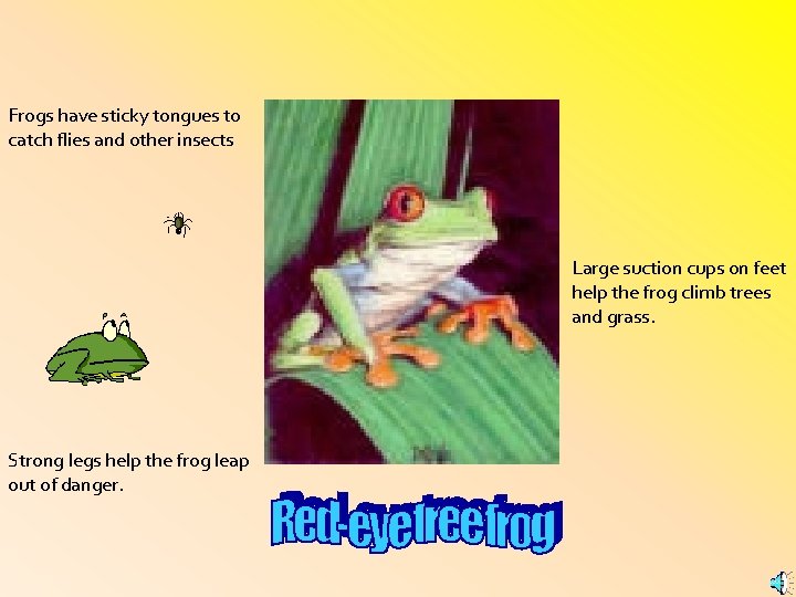 Module Chapter 4 Animal Growth and Heredity Teacher