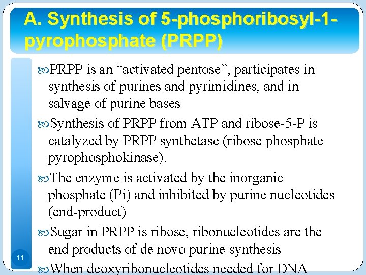 UNIT IV Nitrogen Metabolism Nucleotide Metabolism 1 Overview