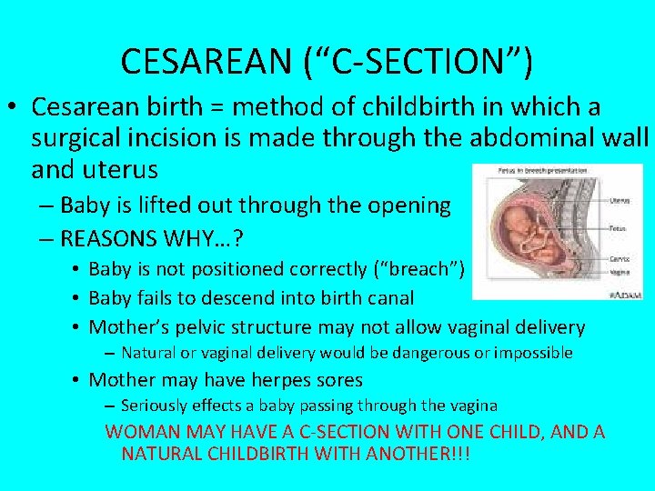 STAGES OF LABOR CONTRACEPTION AND CONCERNS WARNING Maturity