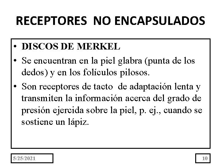 C 3 ORGANIZACIN GENERAL DEL SISTEMA NERVIOSO Dr