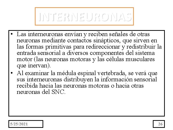 C 3 ORGANIZACIN GENERAL DEL SISTEMA NERVIOSO Dr
