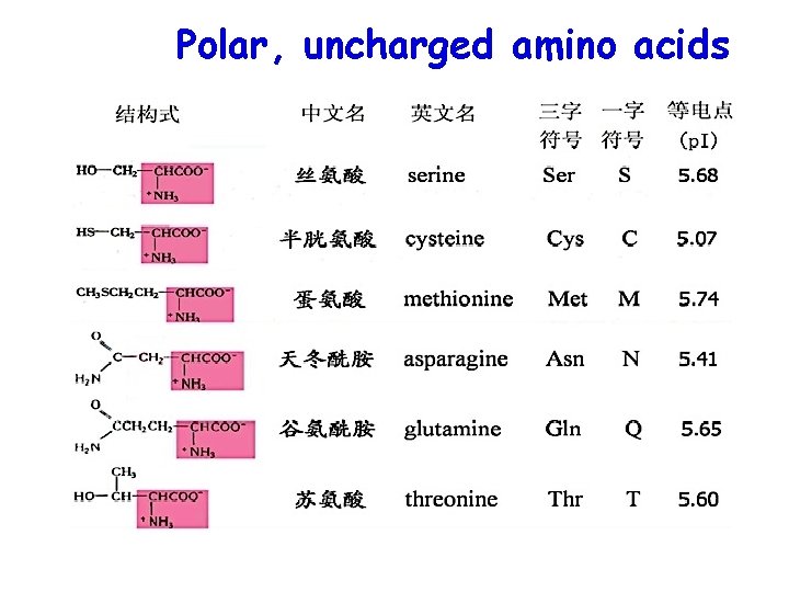How the cell arises from the diverse biomolecules