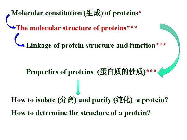 How the cell arises from the diverse biomolecules