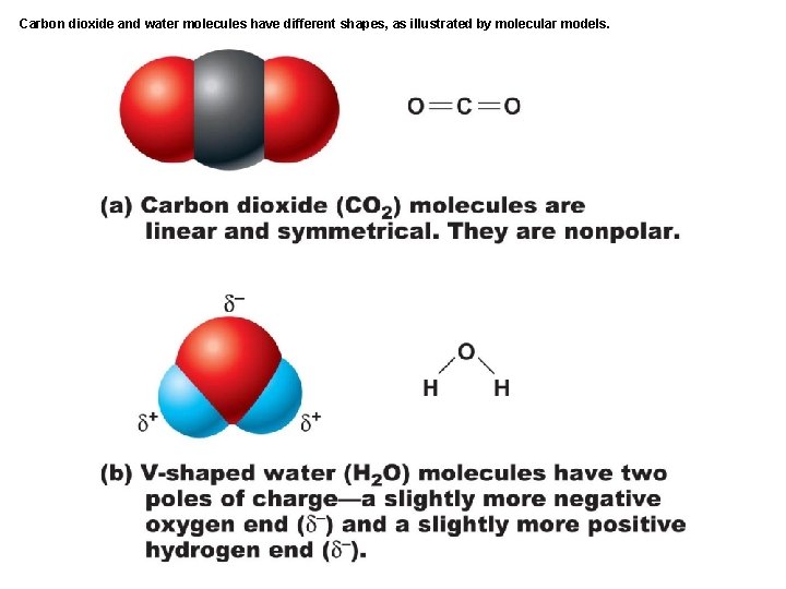 Chapter 2 The Chemistry of Life Niels Bohr