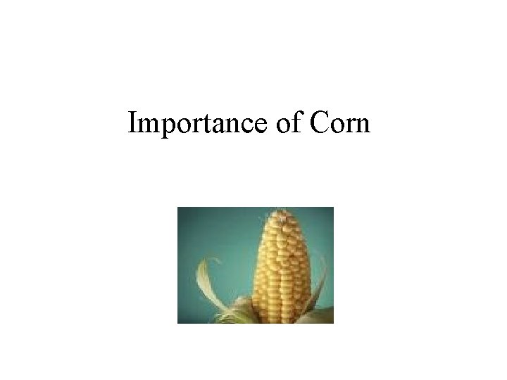Importance of Corn Evolution of Corn left to