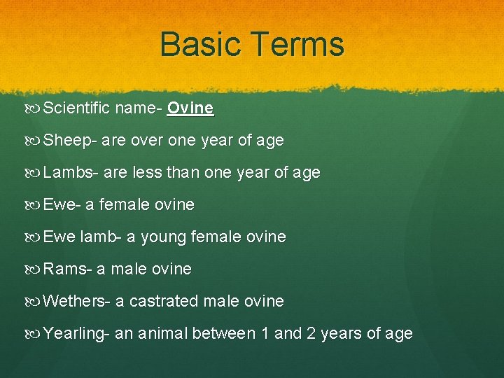 Breeds of Sheep Basic Terms Scientific name Ovine