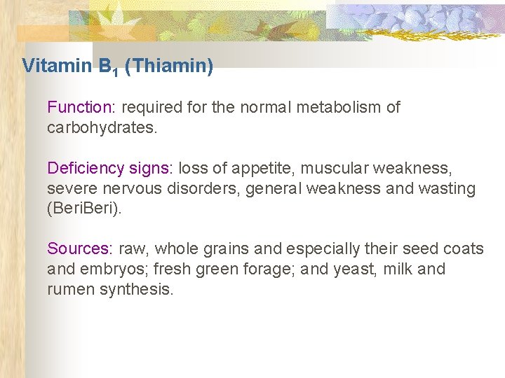 Role of Vitamins and Minerals as an Antioxidants
