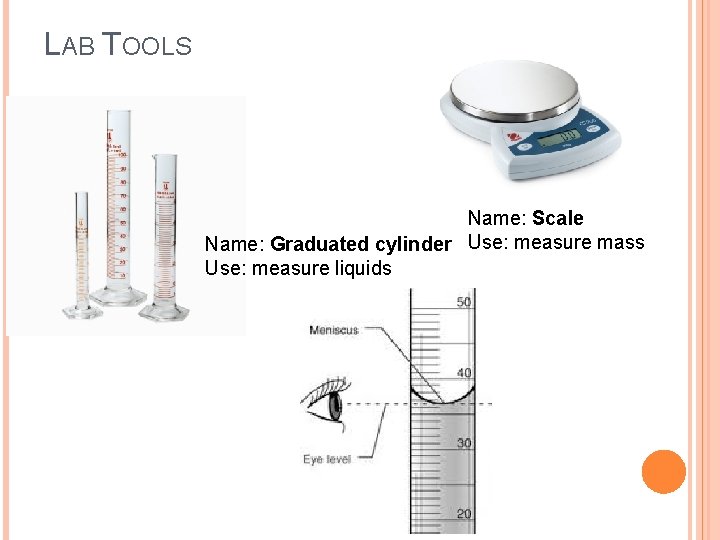 INTRODUCTION TO SCIENCE Safety Contract No playing around