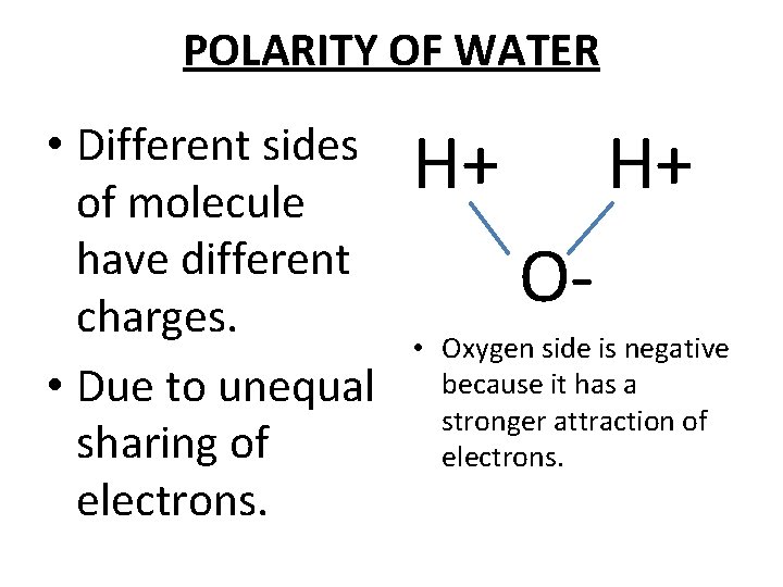 Understanding Water STRUCTURE OF WATER MOLECULE Hydrogen atom