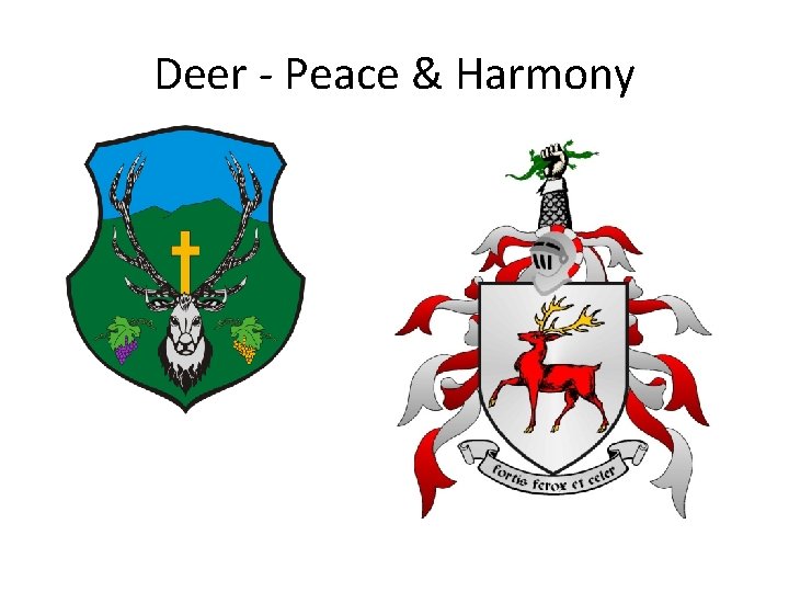 Coat of Arms ANIMAL SYMBOLS Coat of Arm