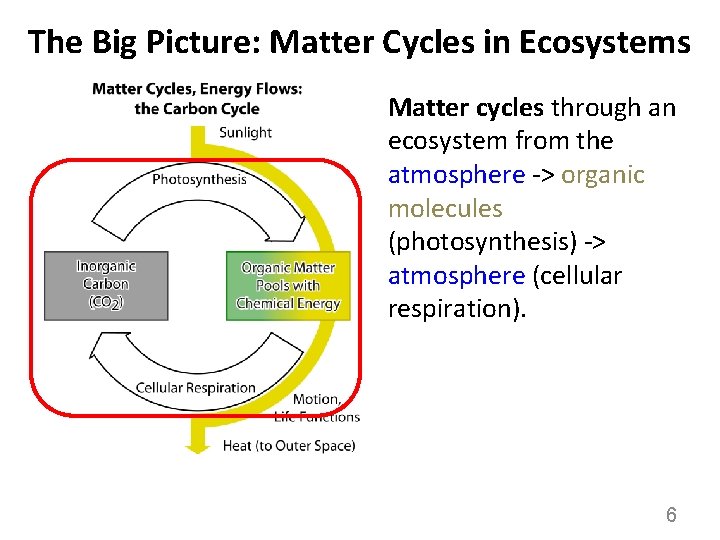 Carbon Transformations in Matter and Energy Environmental Literacy