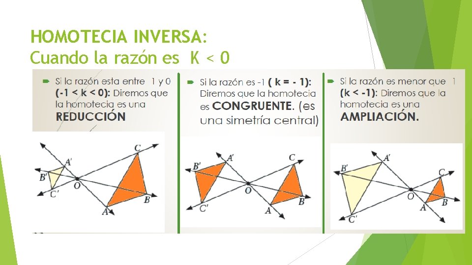 Colegio Espaa Concepcin Prof Olga Saavedra HOMOTECIA OBJETIVOS
