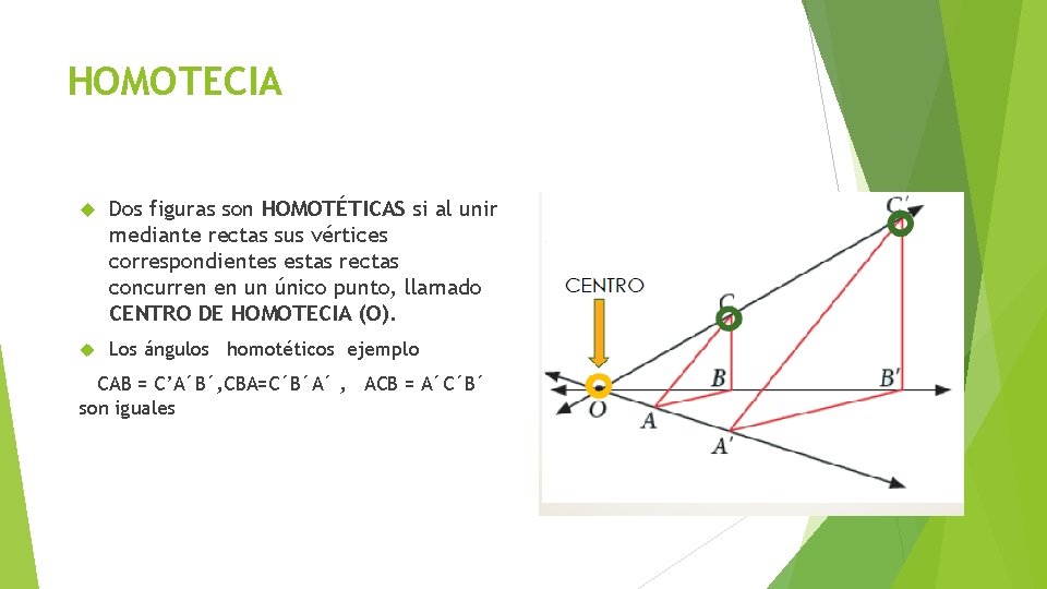 Colegio Espaa Concepcin Prof Olga Saavedra HOMOTECIA OBJETIVOS