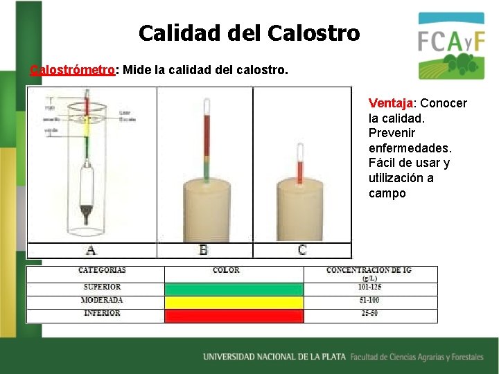PRODUCCION DE BOVINOS DE LECHE CRIANZA DE TERNERAS