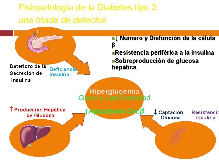 DIABETES MELLITUS JUDITH ORTIZ BELTRAN MIP DEFINICION Parte