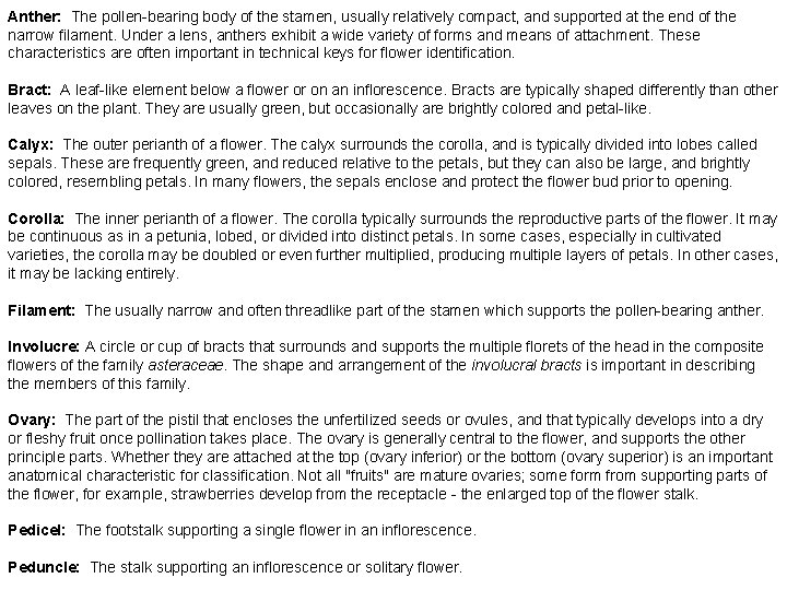 Angiosperm Reproduction and Biotechnology lizard pollination Wind dispersal