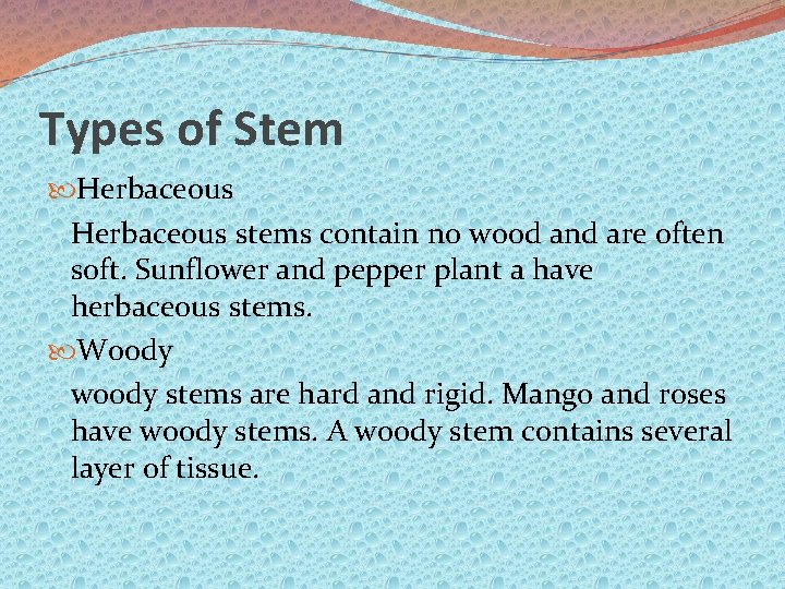 STRUCTURE AND FUNCTION OF PLANTS BODY The Organs