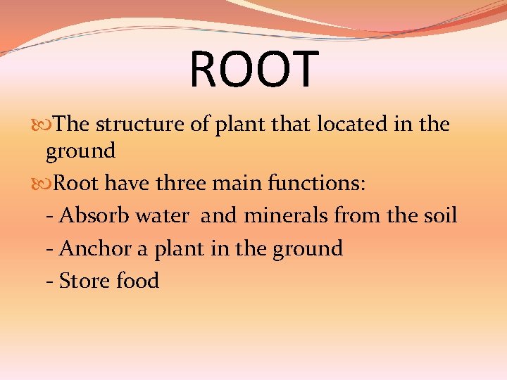 STRUCTURE AND FUNCTION OF PLANTS BODY The Organs