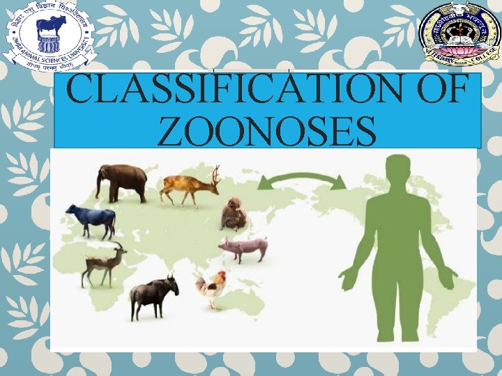 CLASSIFICATION OF ZOONOSES Classification of Zoonoses can be