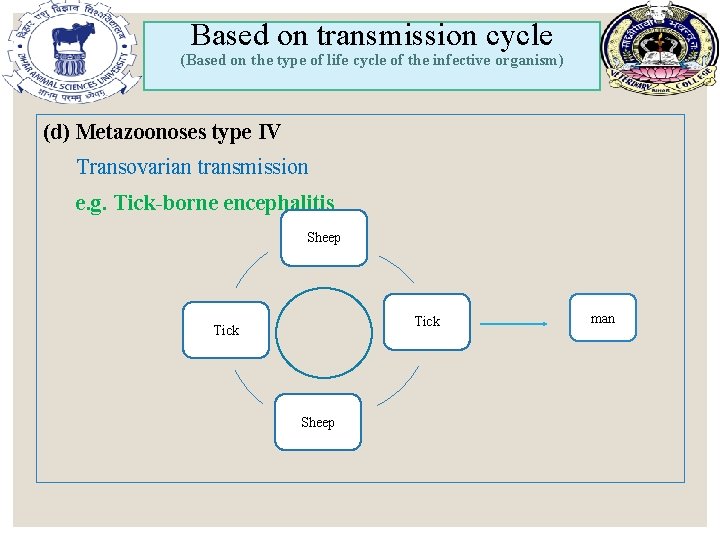 CLASSIFICATION OF ZOONOSES Classification of Zoonoses can be